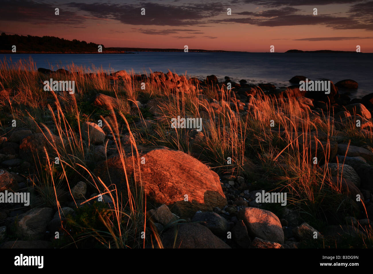 Last evening light by the Oslofjord at Larkollen in Rygge kommune ...