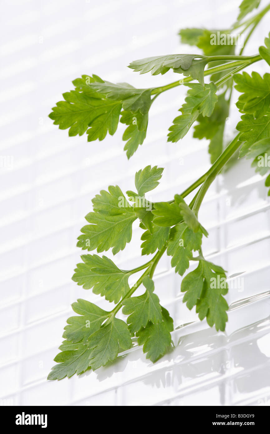 Cooking italian foods hi-res stock photography and images - Alamy