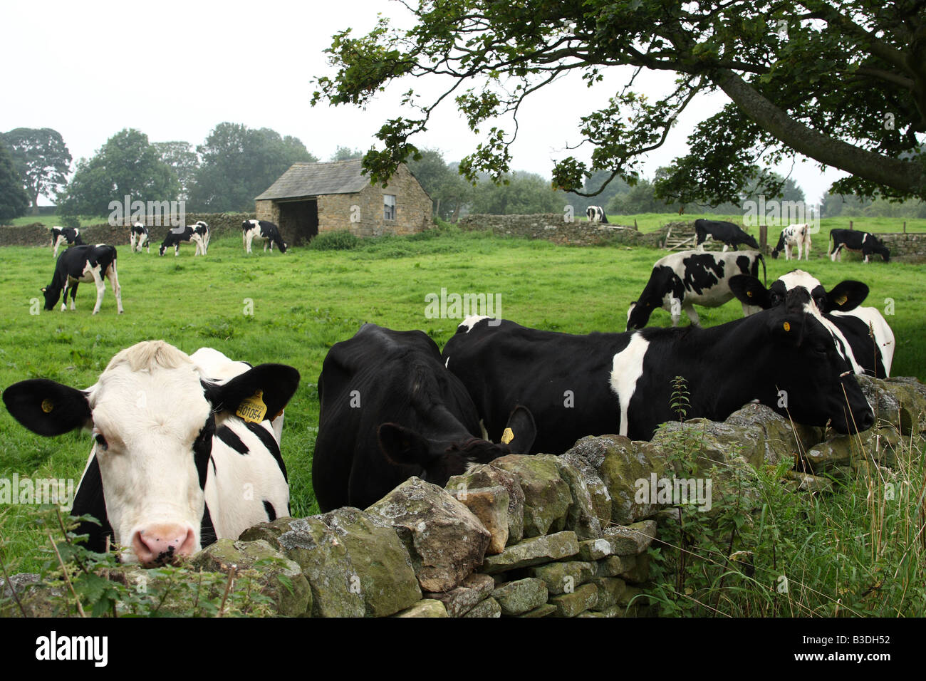 English countryside farming hi-res stock photography and images - Alamy