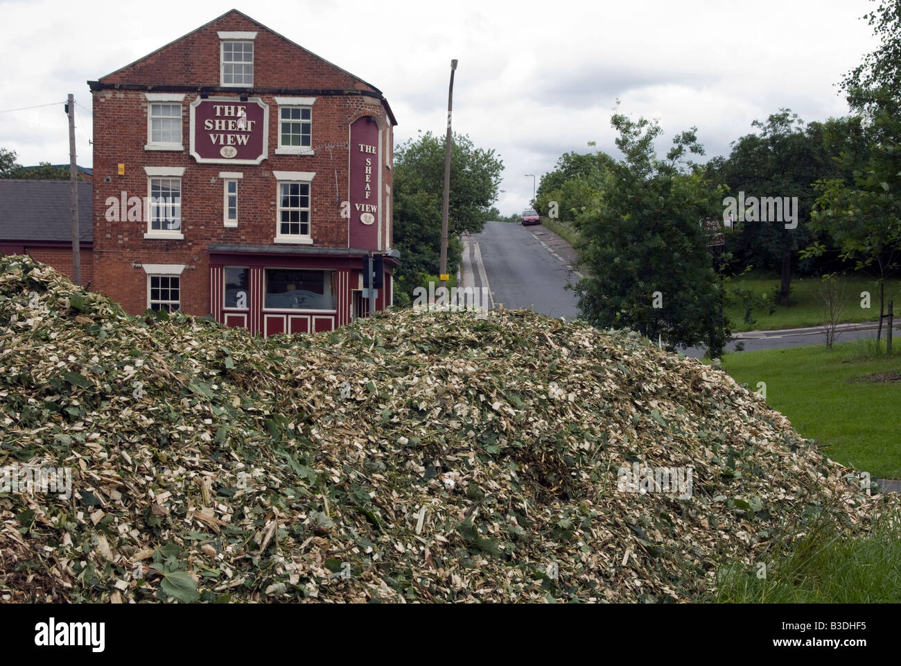 Large pile of shredded trees waiting to be spread in Heely in Sheffield ...