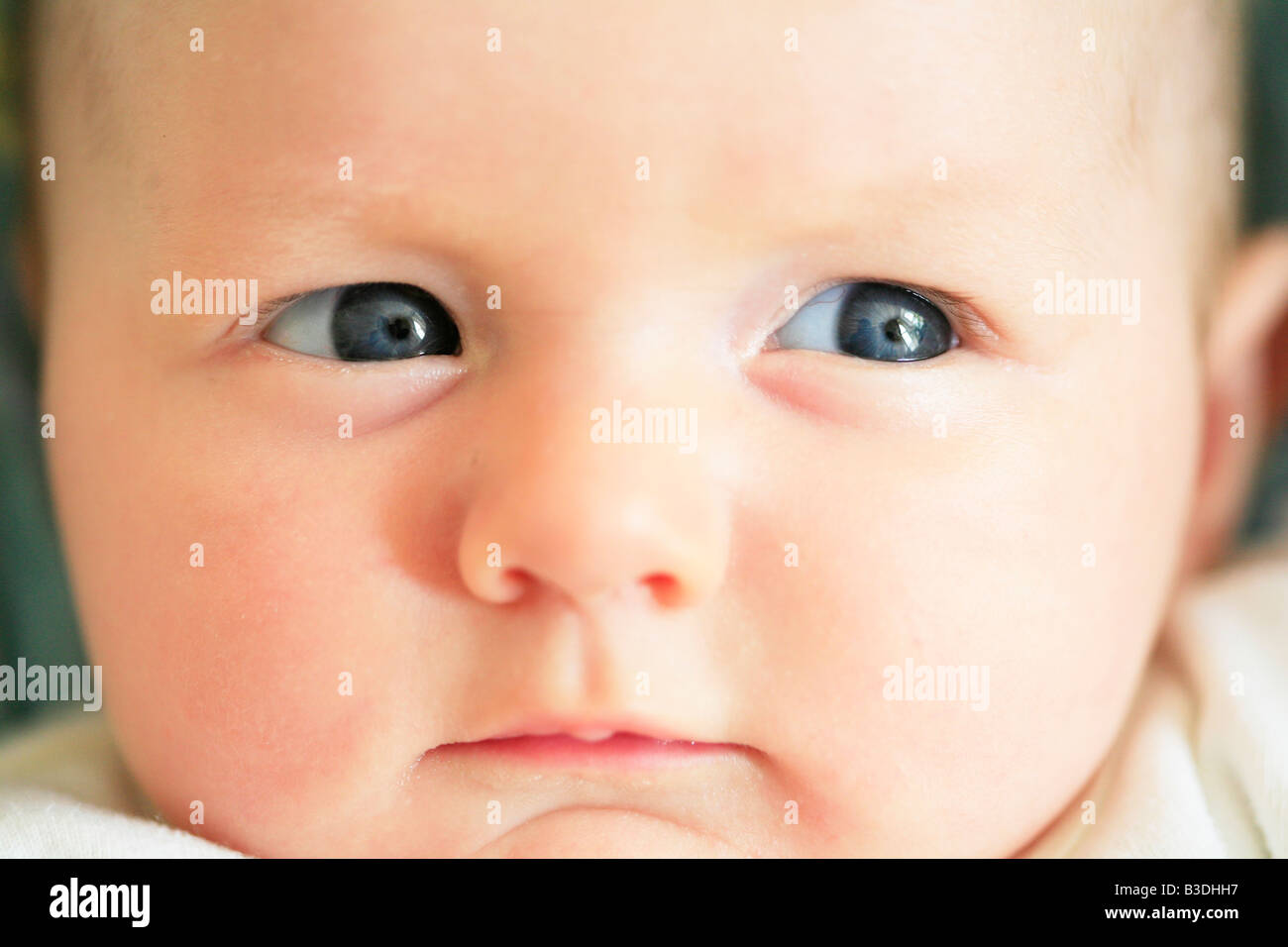 Face of 3 month old baby Stock Photo - Alamy