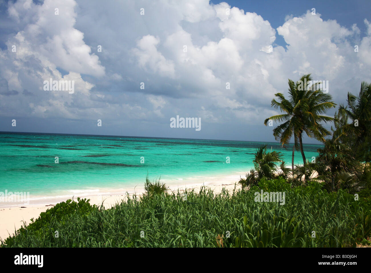 A beautiful beach landscape in Eleuthera Bahamas Stock Photo - Alamy