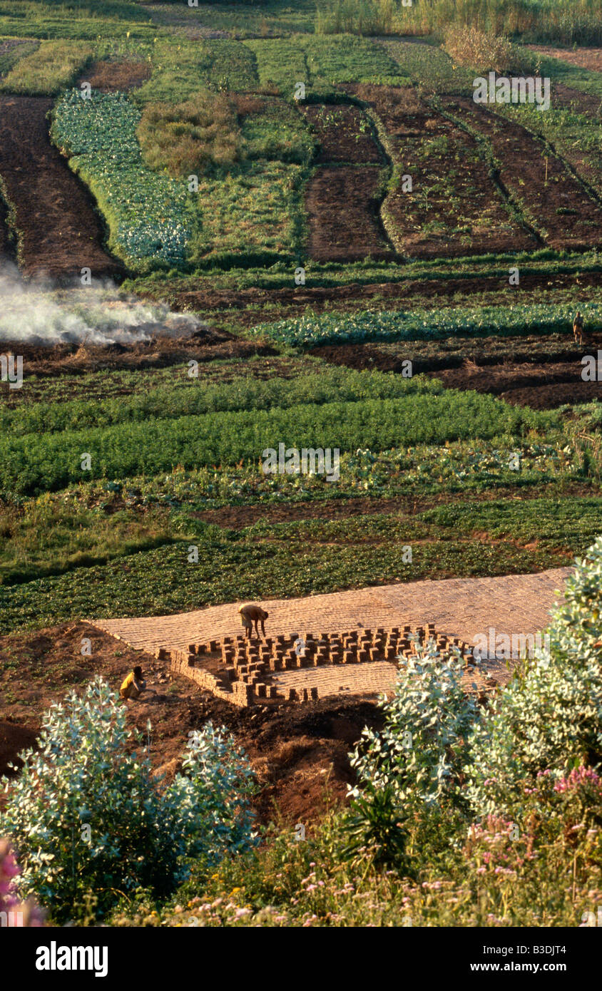 A view of fields and workers drying bricks in Rwanda Stock Photo - Alamy
