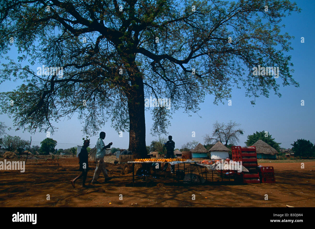 African tree huts in rural hi-res stock photography and images - Alamy