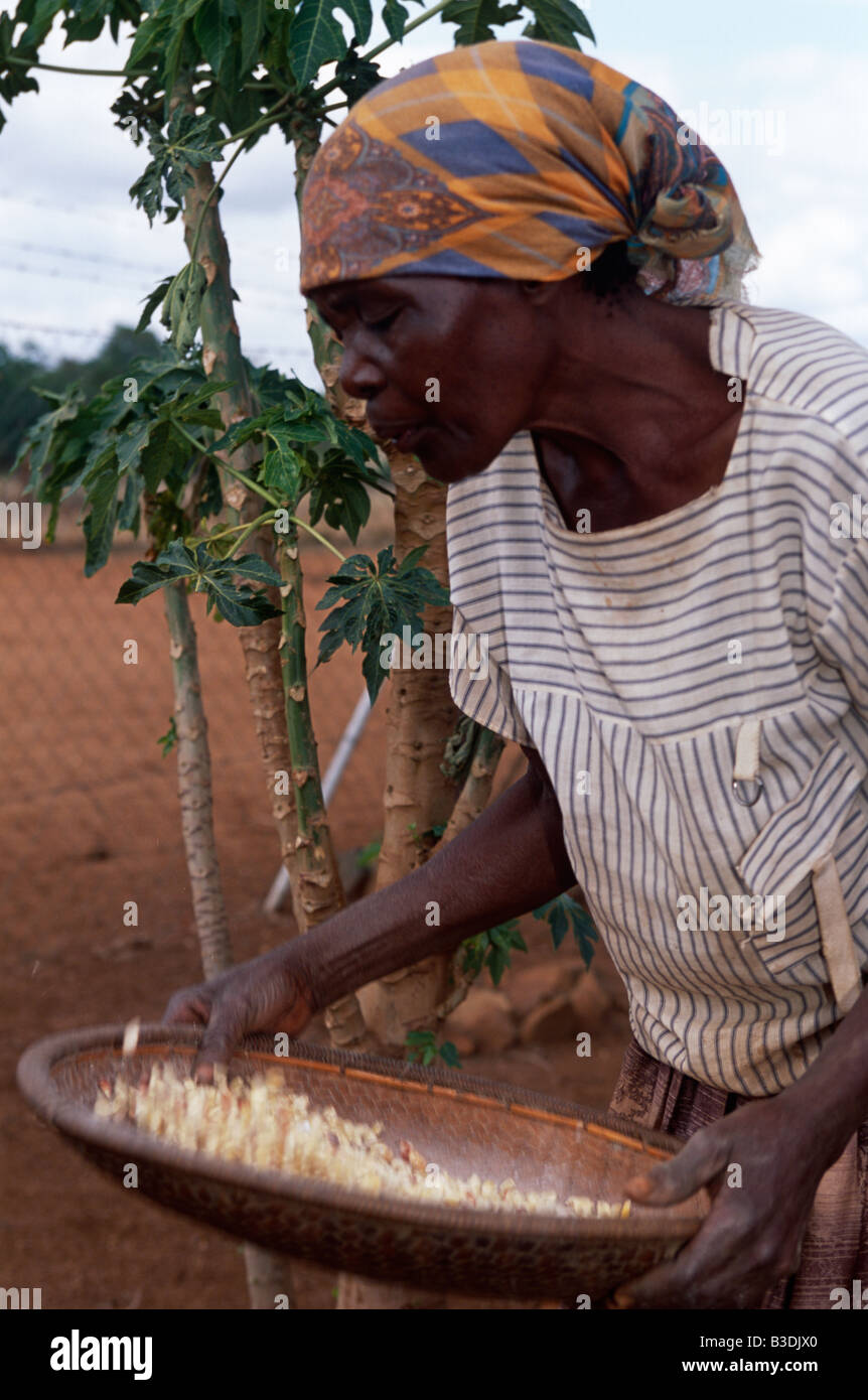Woman winnowing grains in rural South Africa Stock Photo - Alamy