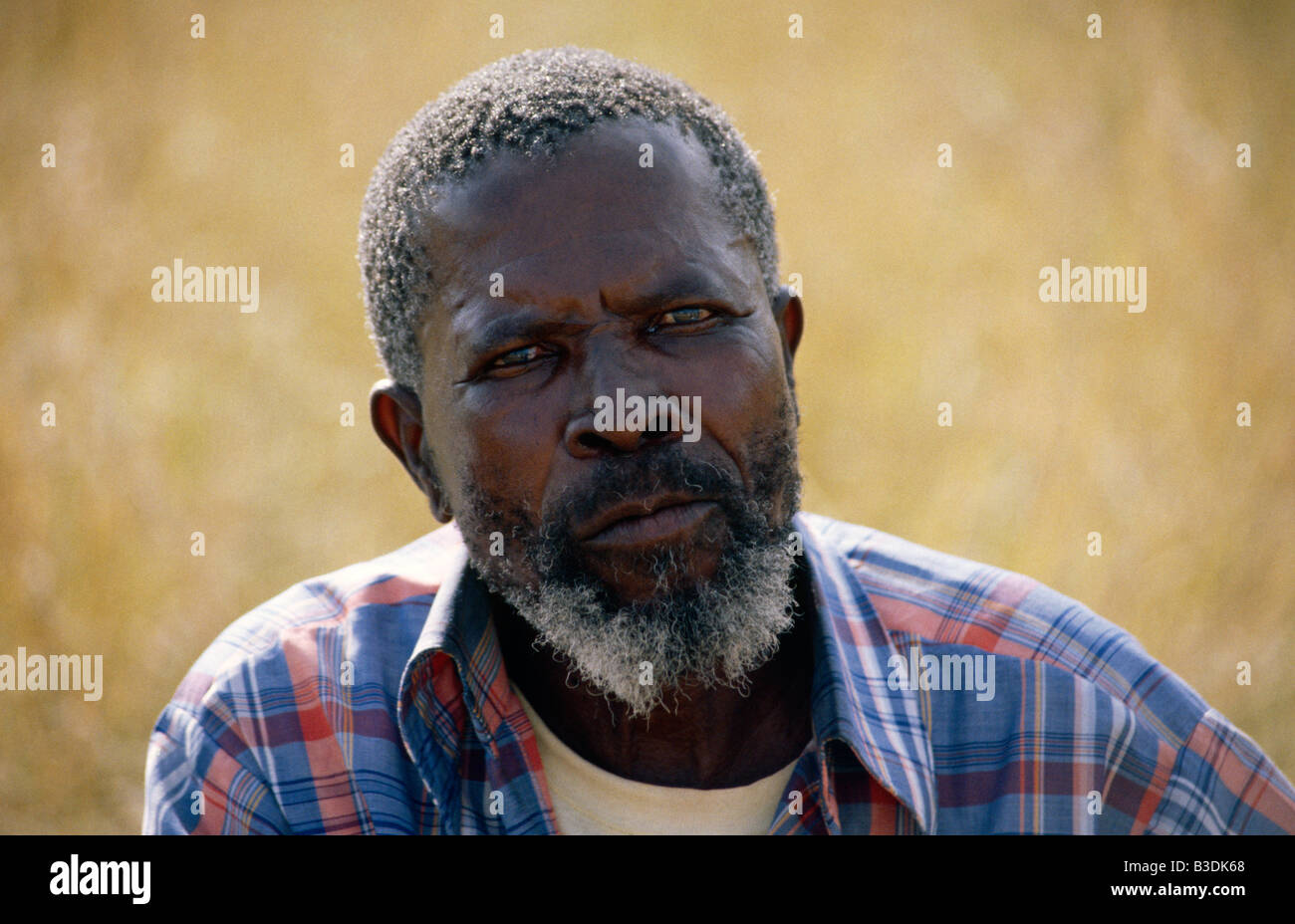 Beard bearded africa african hi-res stock photography and images - Alamy
