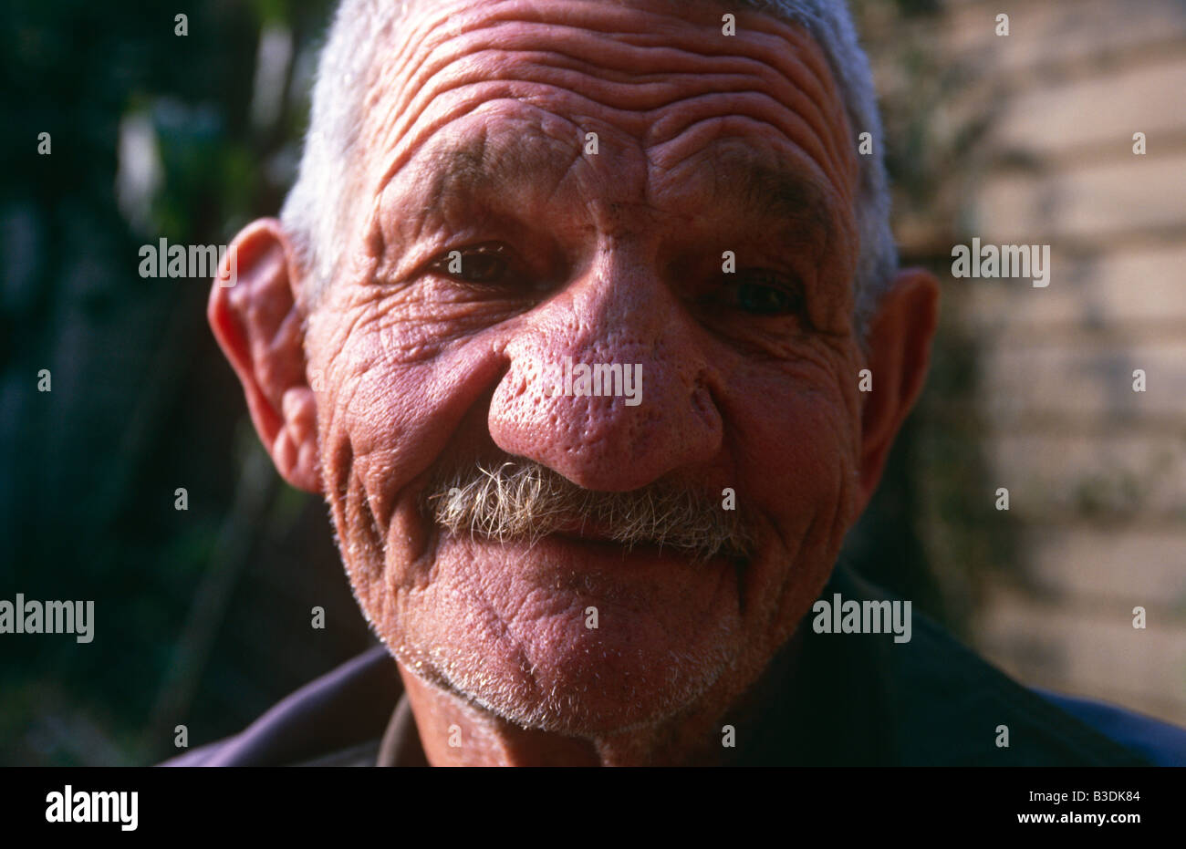 White man in South Africa Stock Photo - Alamy