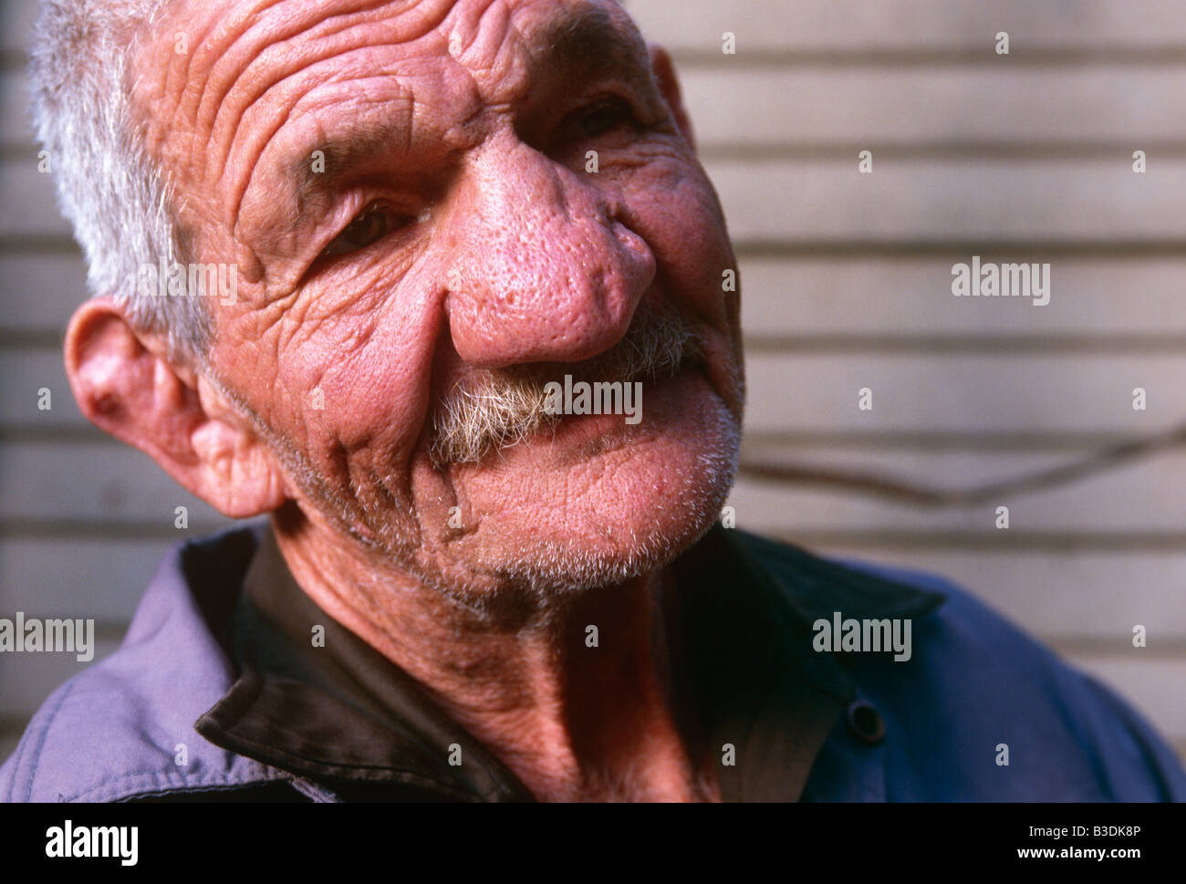 White man in South Africa Stock Photo - Alamy