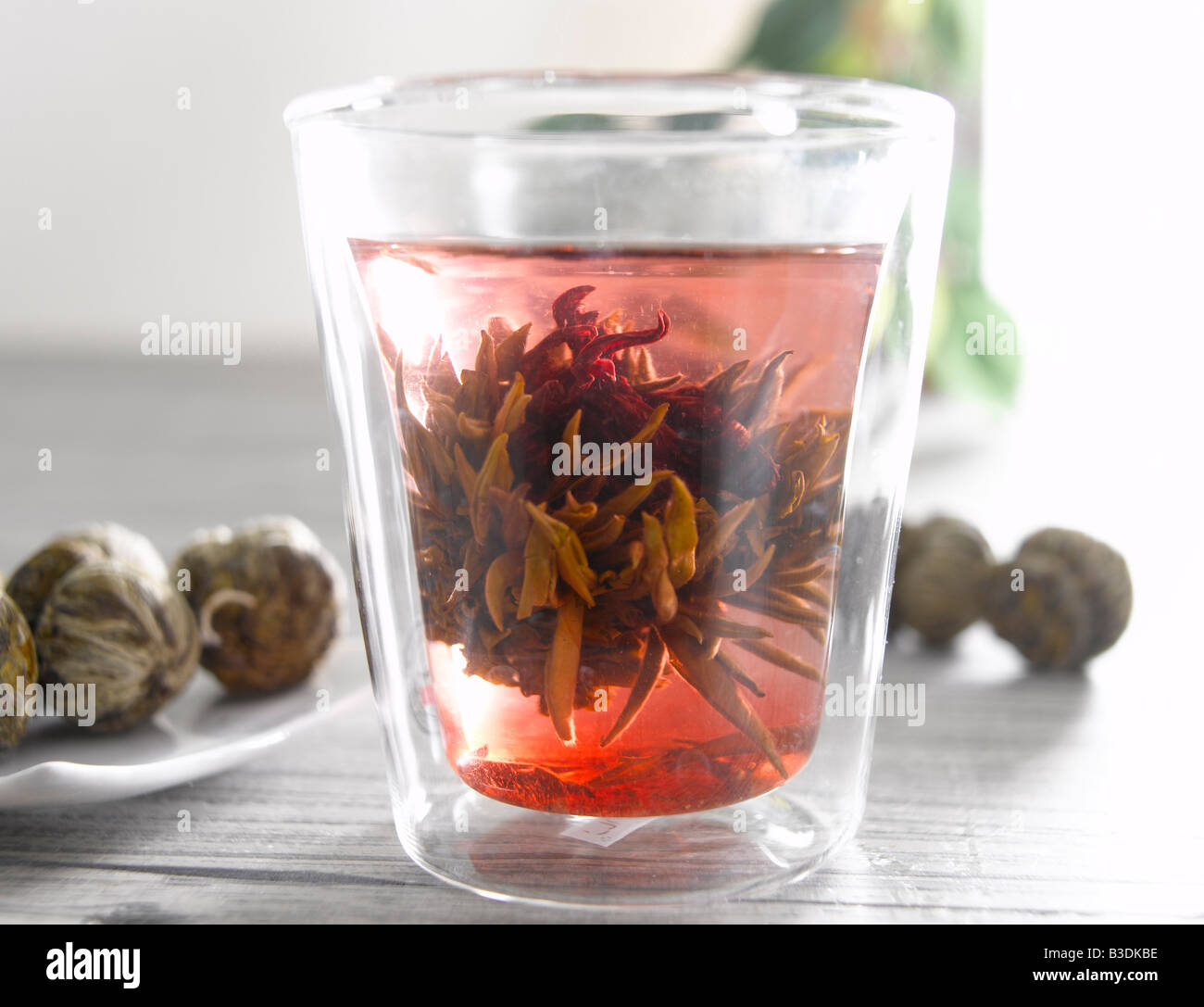 Tea Flower in tea glass, close-up Stock Photo - Alamy