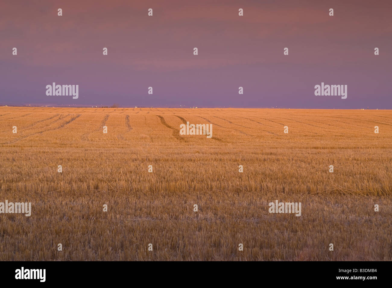 Agriculture farming ranching canada canadian flat fields rows patterns ...