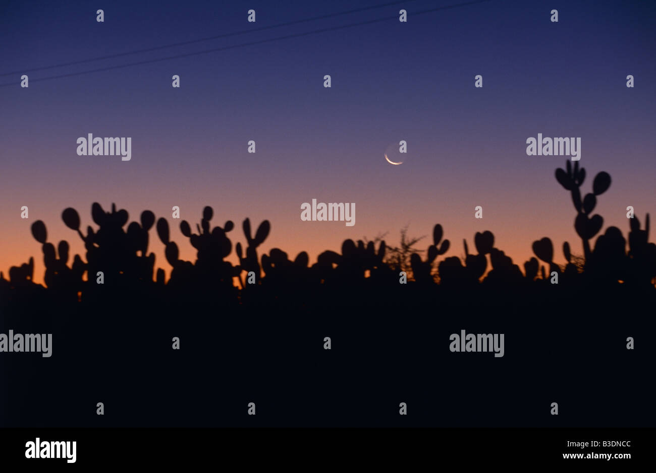 View of a Solar Eclipse Stock Photo - Alamy