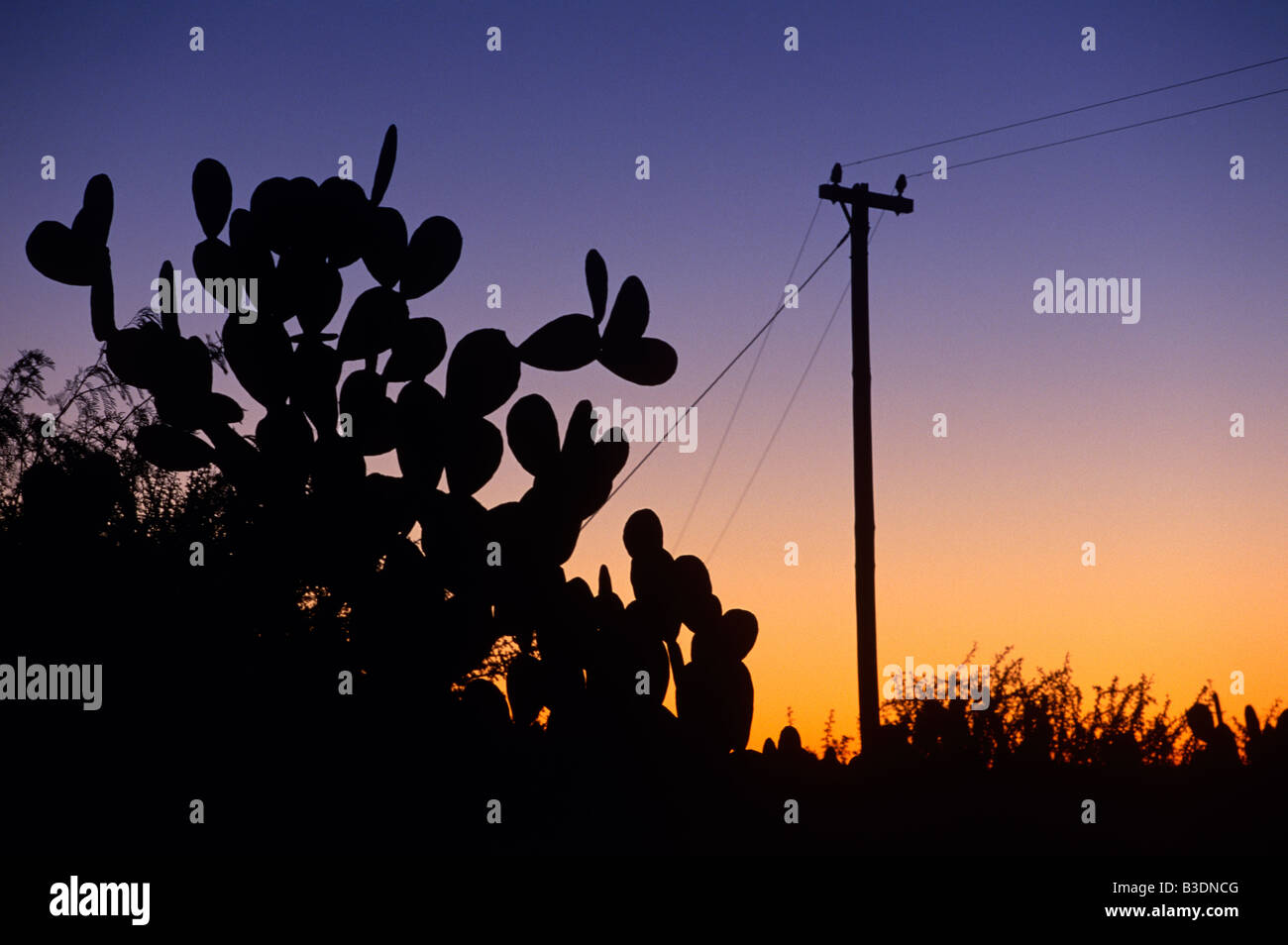 View of the sky during a Solar Eclipse Stock Photo - Alamy