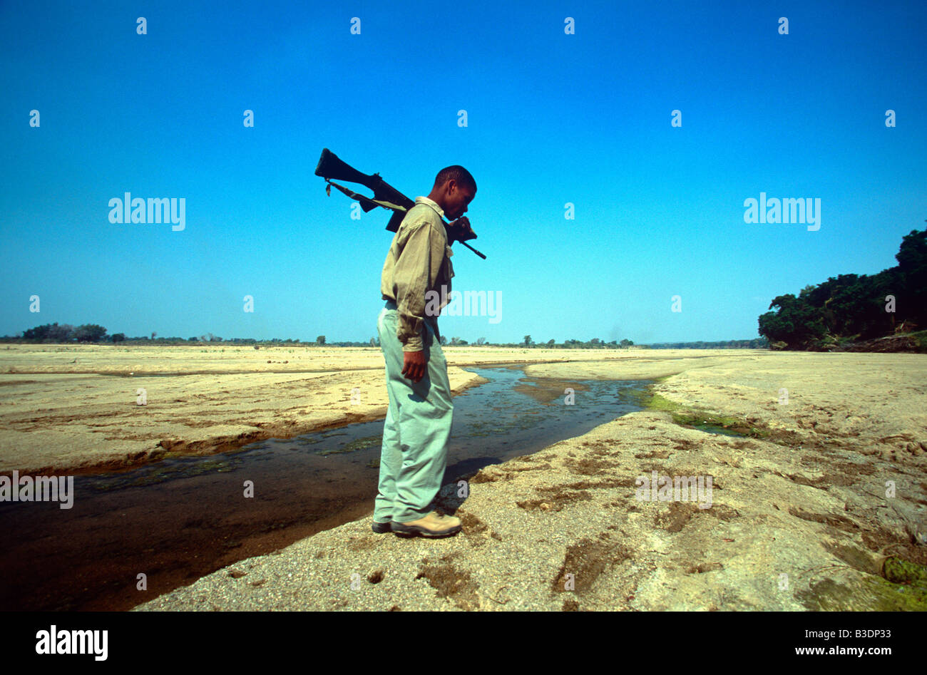 Armed National Park ranger at work, South Africa Stock Photo - Alamy