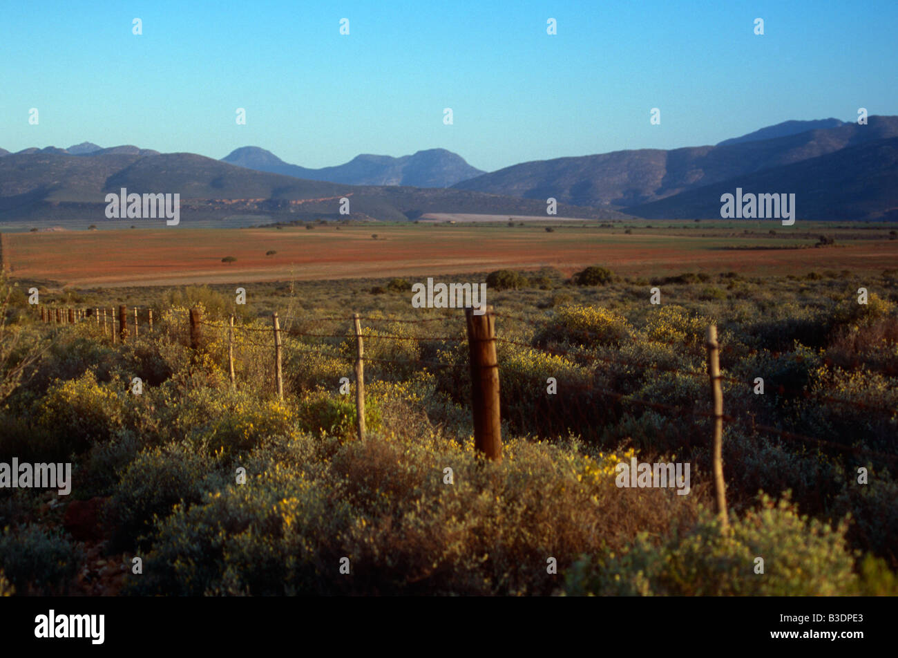 Rural scenery. Mountain ranges, landscape, Western Cape, South Africa ...