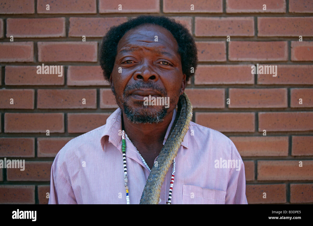 Medicine muti hi-res stock photography and images - Alamy