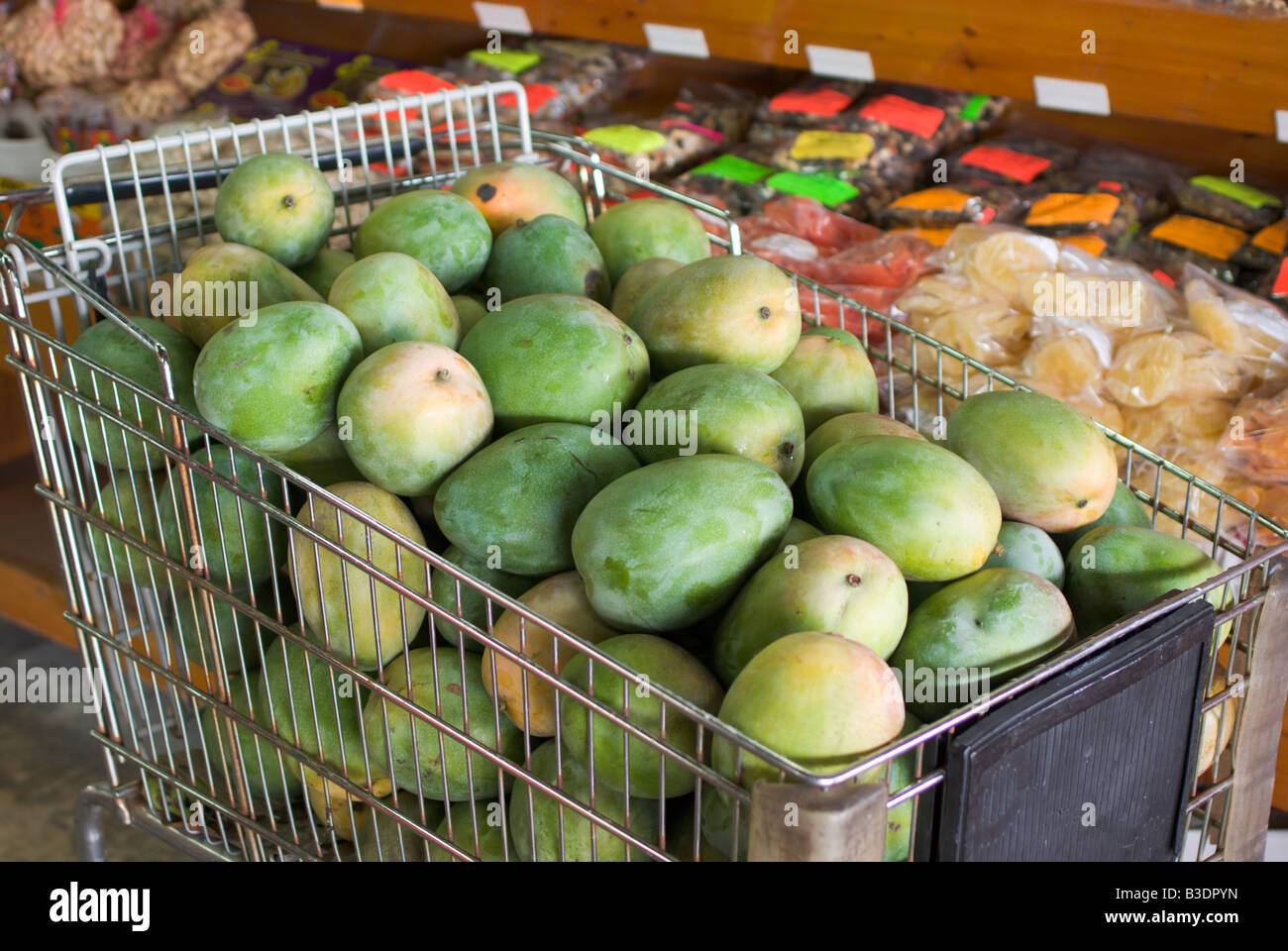 A shopping cart full of fresh mangoes in a grocery store or fruit ...