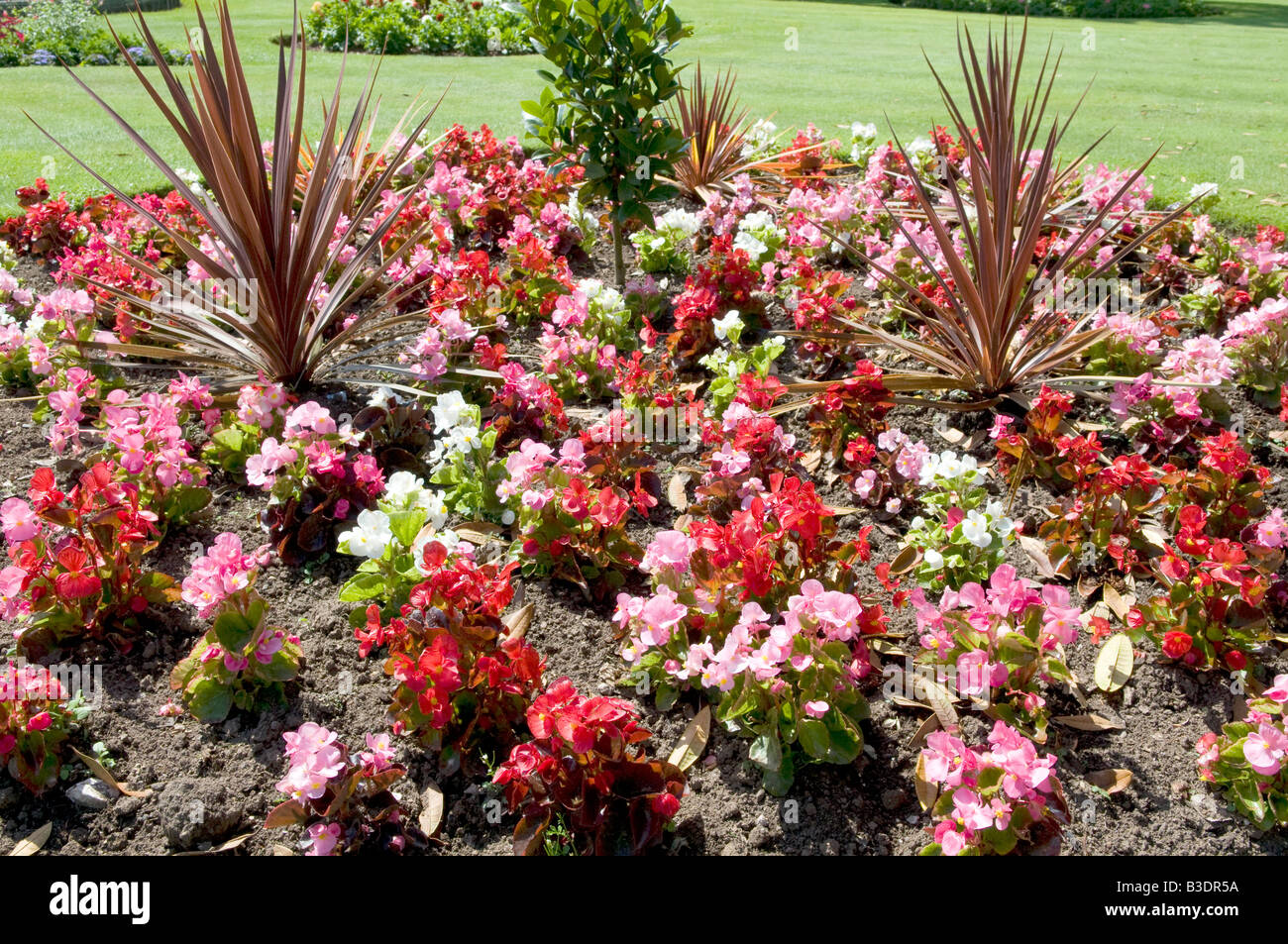 Summer bedding colour hi-res stock photography and images - Alamy