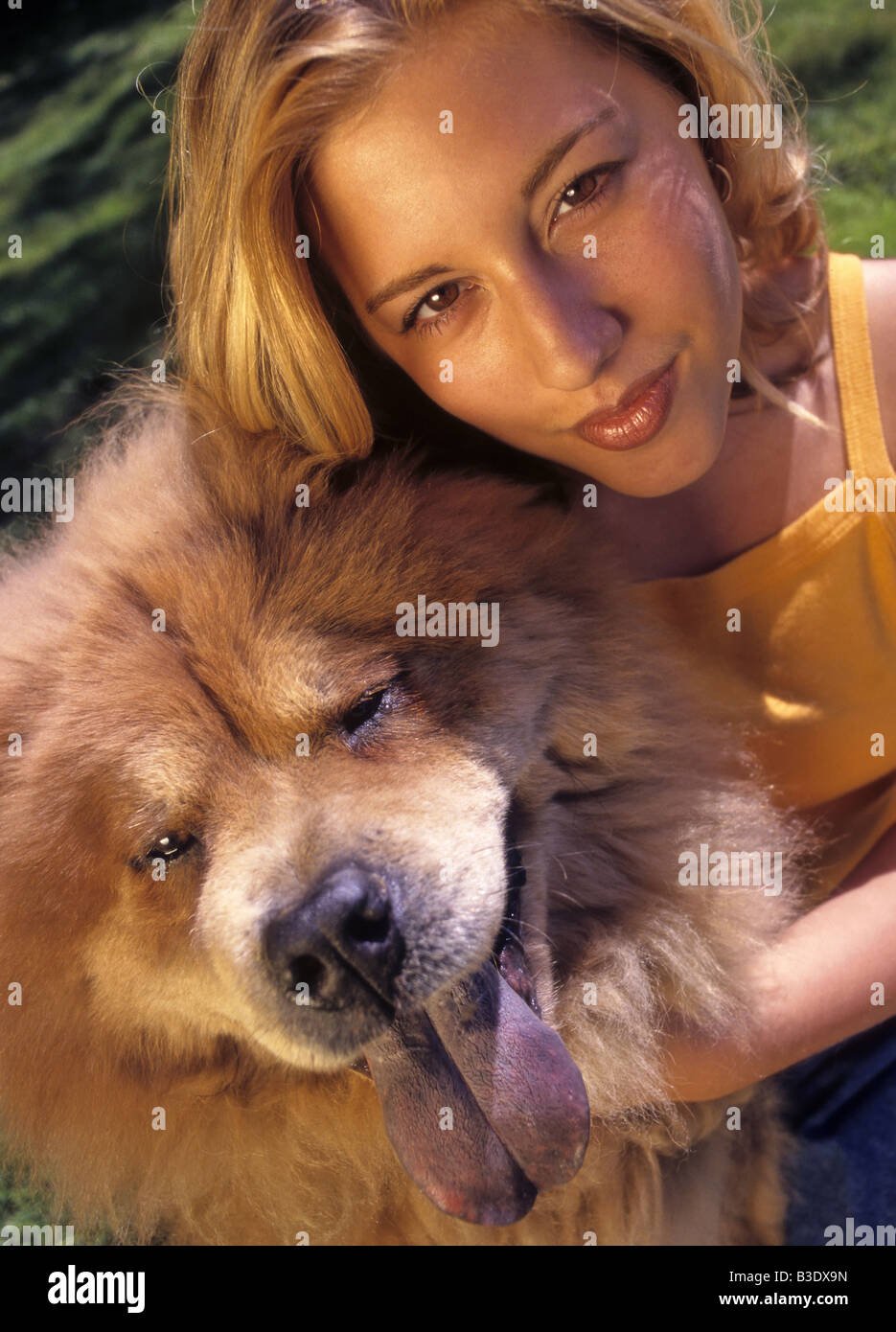 Chow Chow dog with young women Stock Photo - Alamy