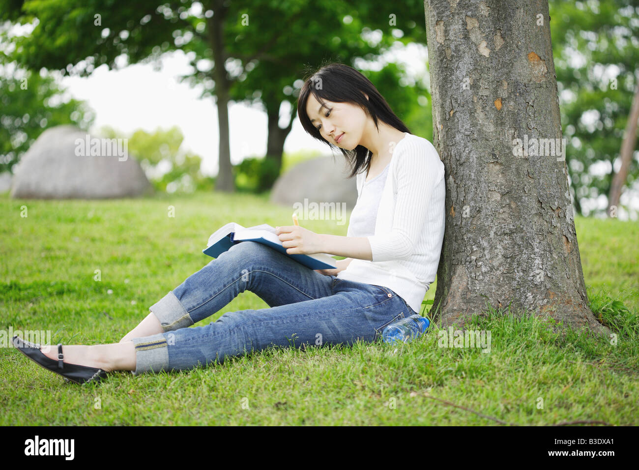 Young woman studying by tree Stock Photo - Alamy