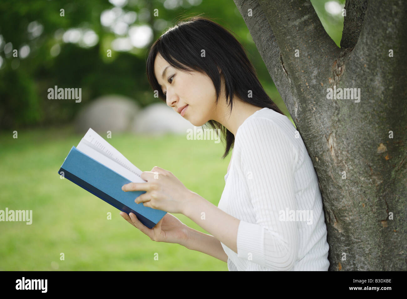 Young woman studying by tree Stock Photo - Alamy