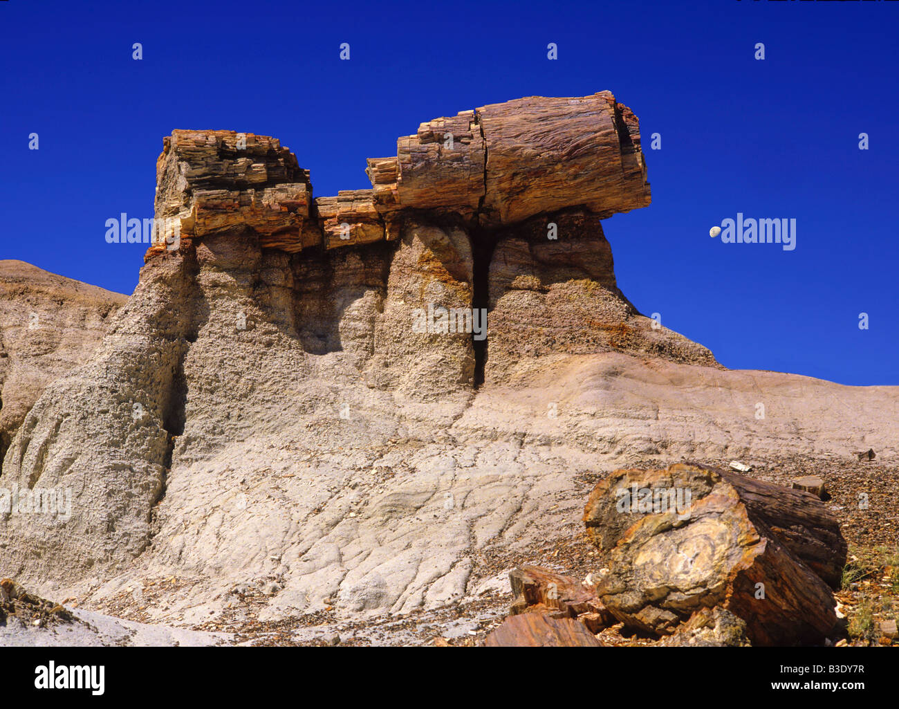 Petrified Forest National Park AZ USA Stock Photo - Alamy