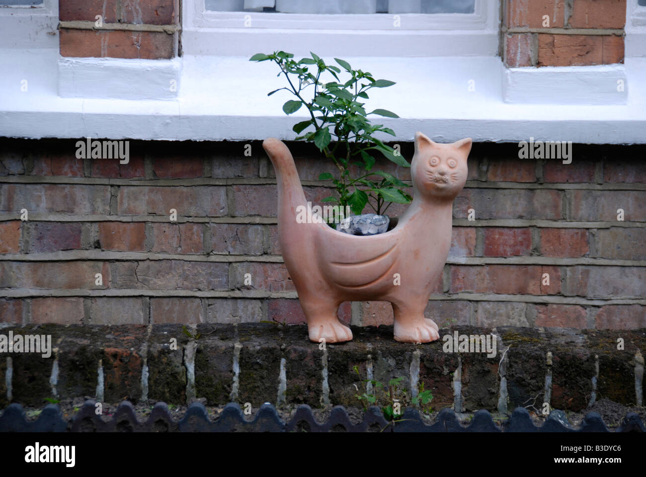 Terracotta plat pot in the shape of a cat on wall outside house Stock ...