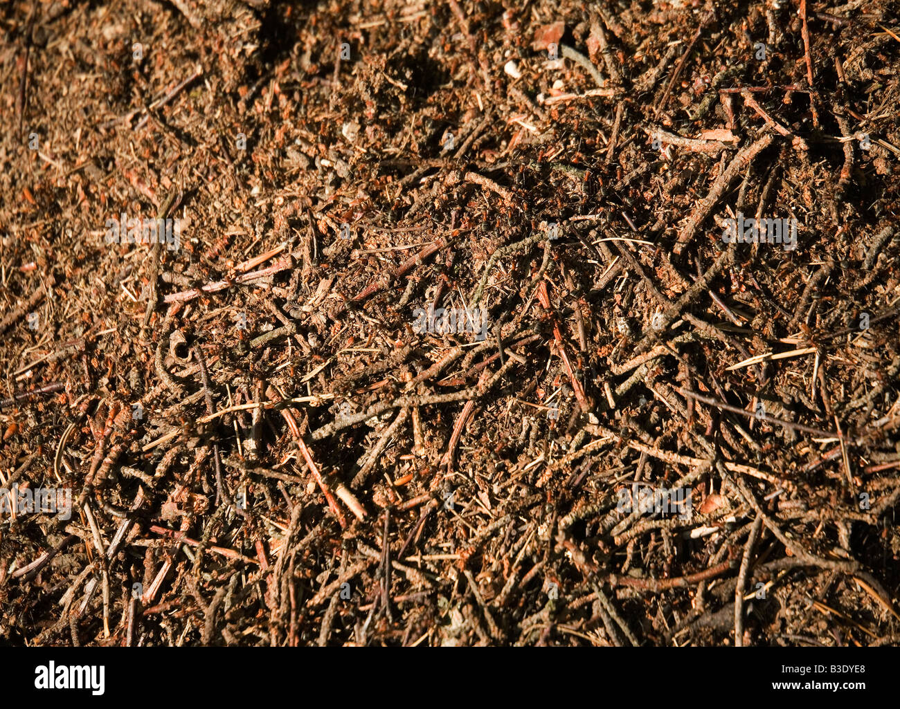 Ant mount hi-res stock photography and images - Alamy