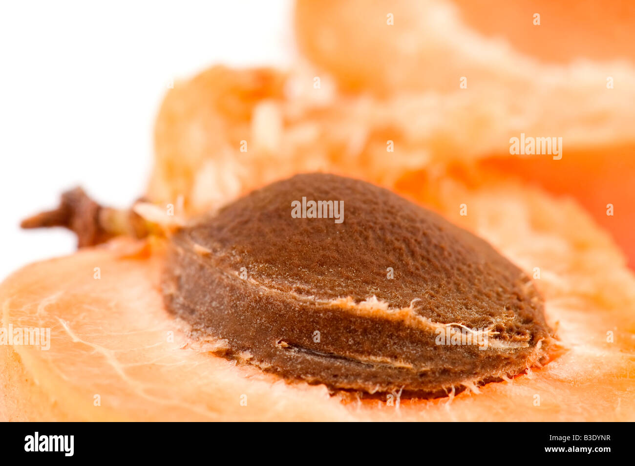 object on white raw food apricot macro Stock Photo - Alamy