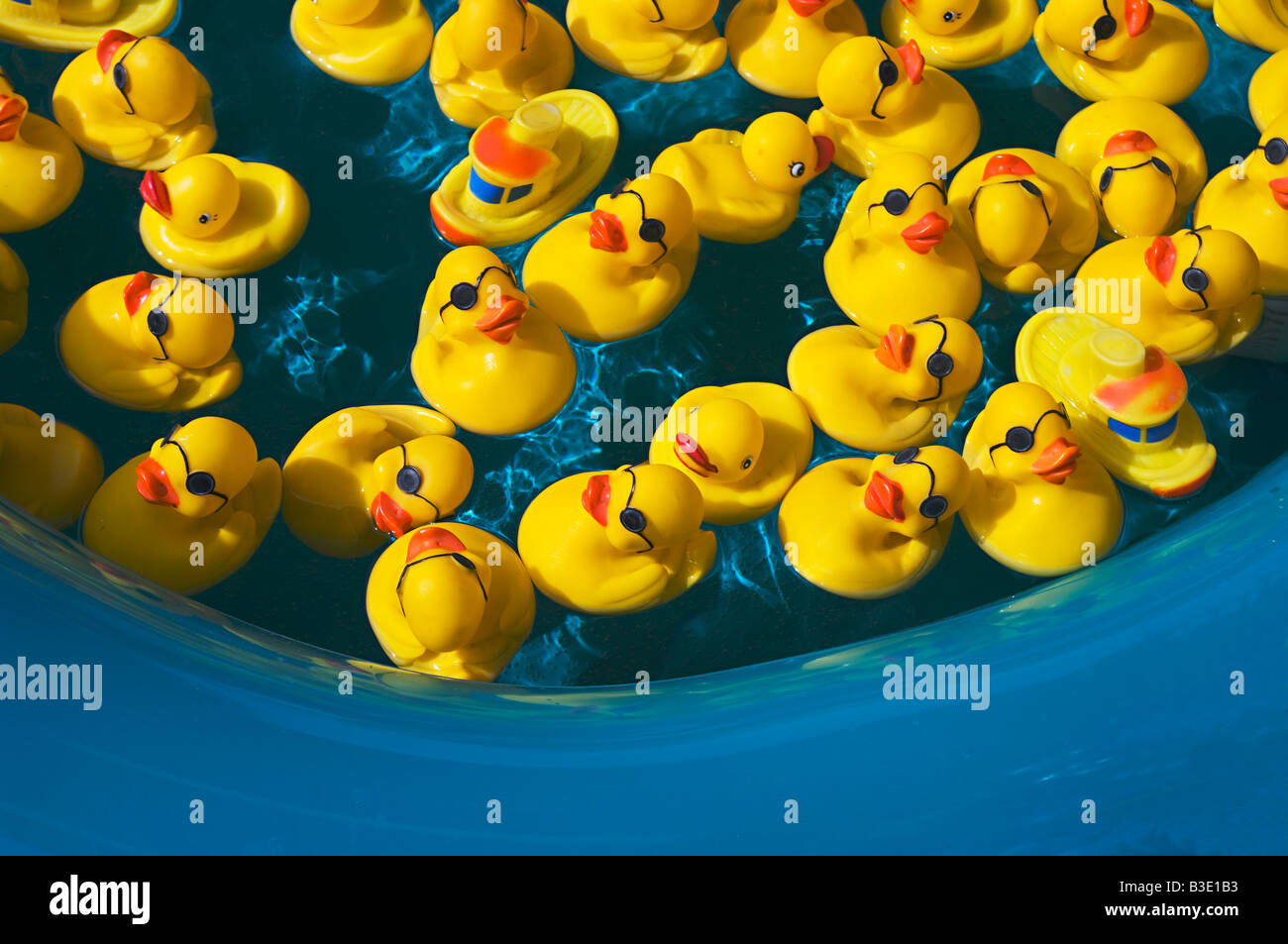 Plastic ducks hi-res stock photography and images - Alamy