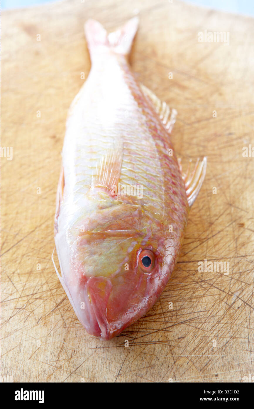 Mullet From Above High Resolution Stock Photography and Images - Alamy