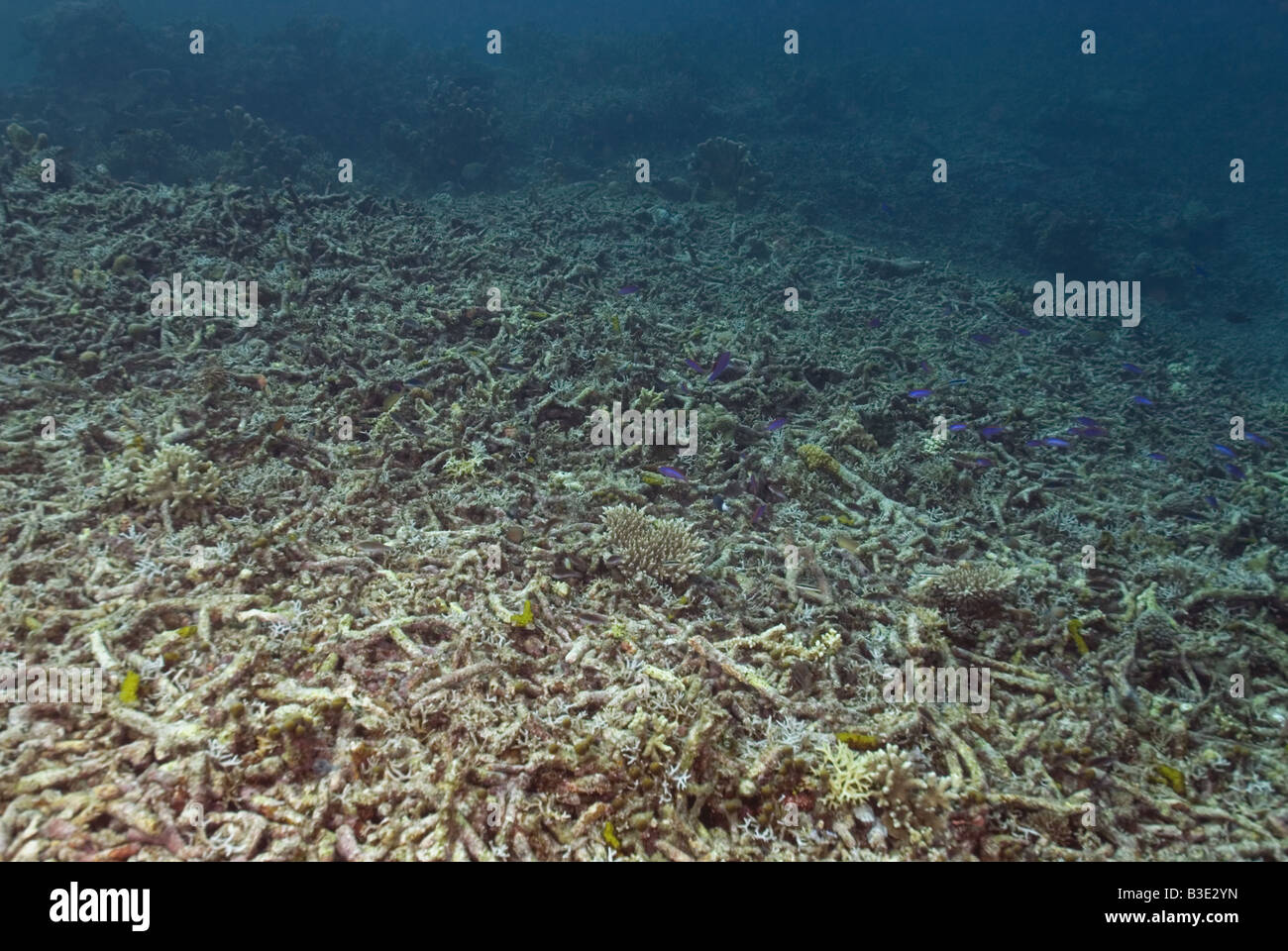 Dynamited hi-res stock photography and images - Alamy