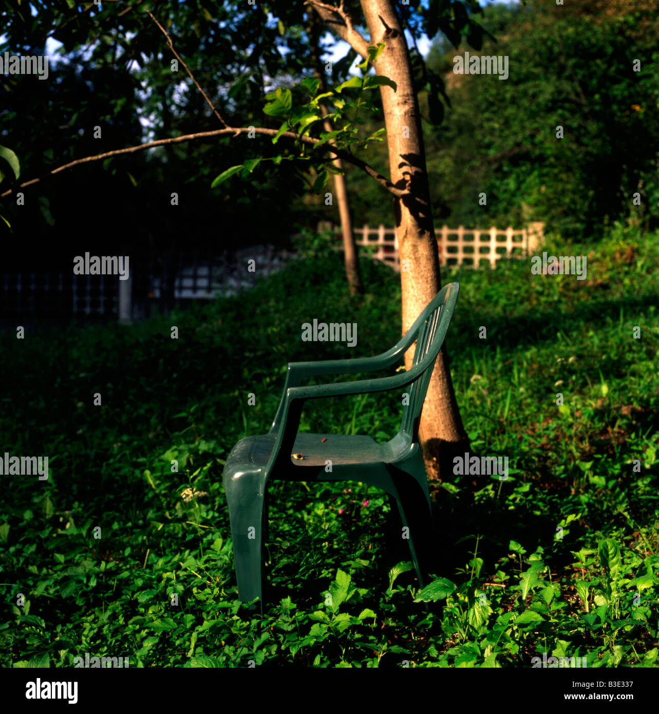 Old used plastic garden chair under walnut tree Stock Photo - Alamy