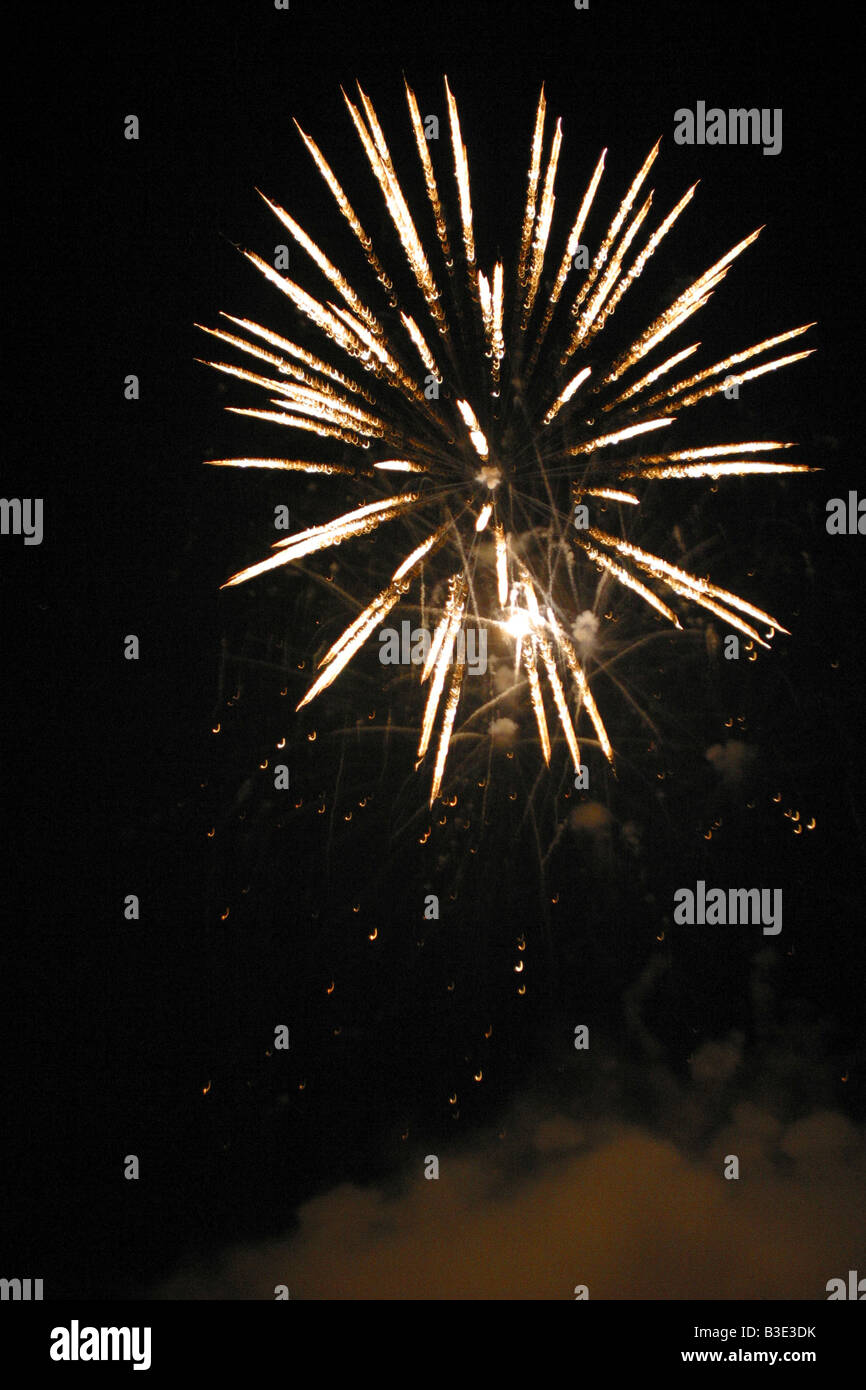 Fireworks display at night. Starry effects. etoiles.38910 Fireworks ...