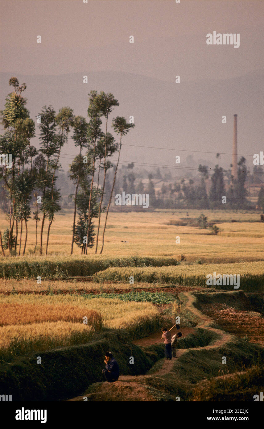 farmers farming in fields, countryside dali, yunnan province, china ...
