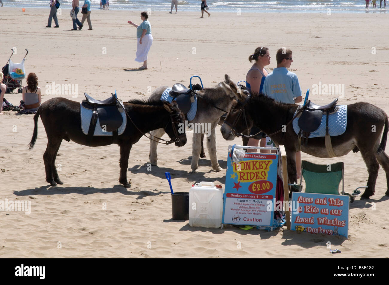 Scarborough donkeys uk hi-res stock photography and images - Alamy