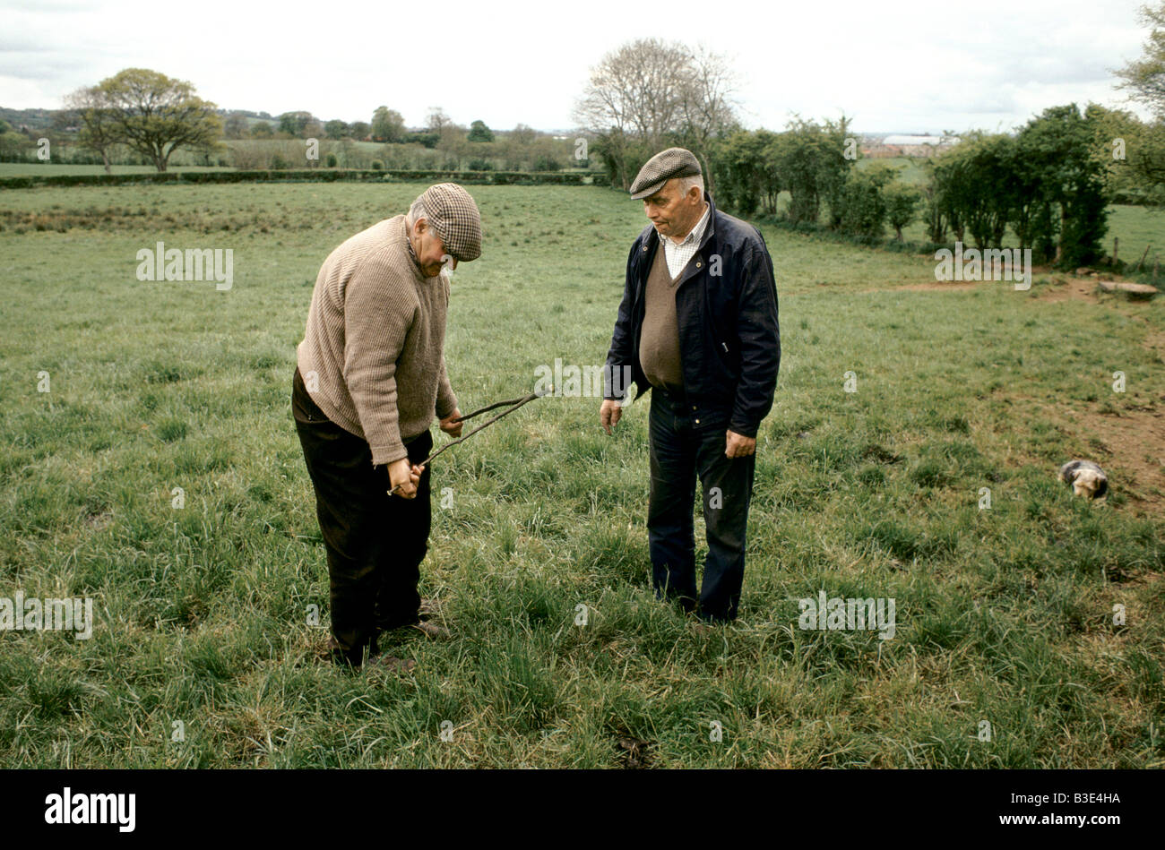 RURAL NORTHERN IRELAND TWO MEN STANDING IN FIELD WATER DIVINING WITH Y ...