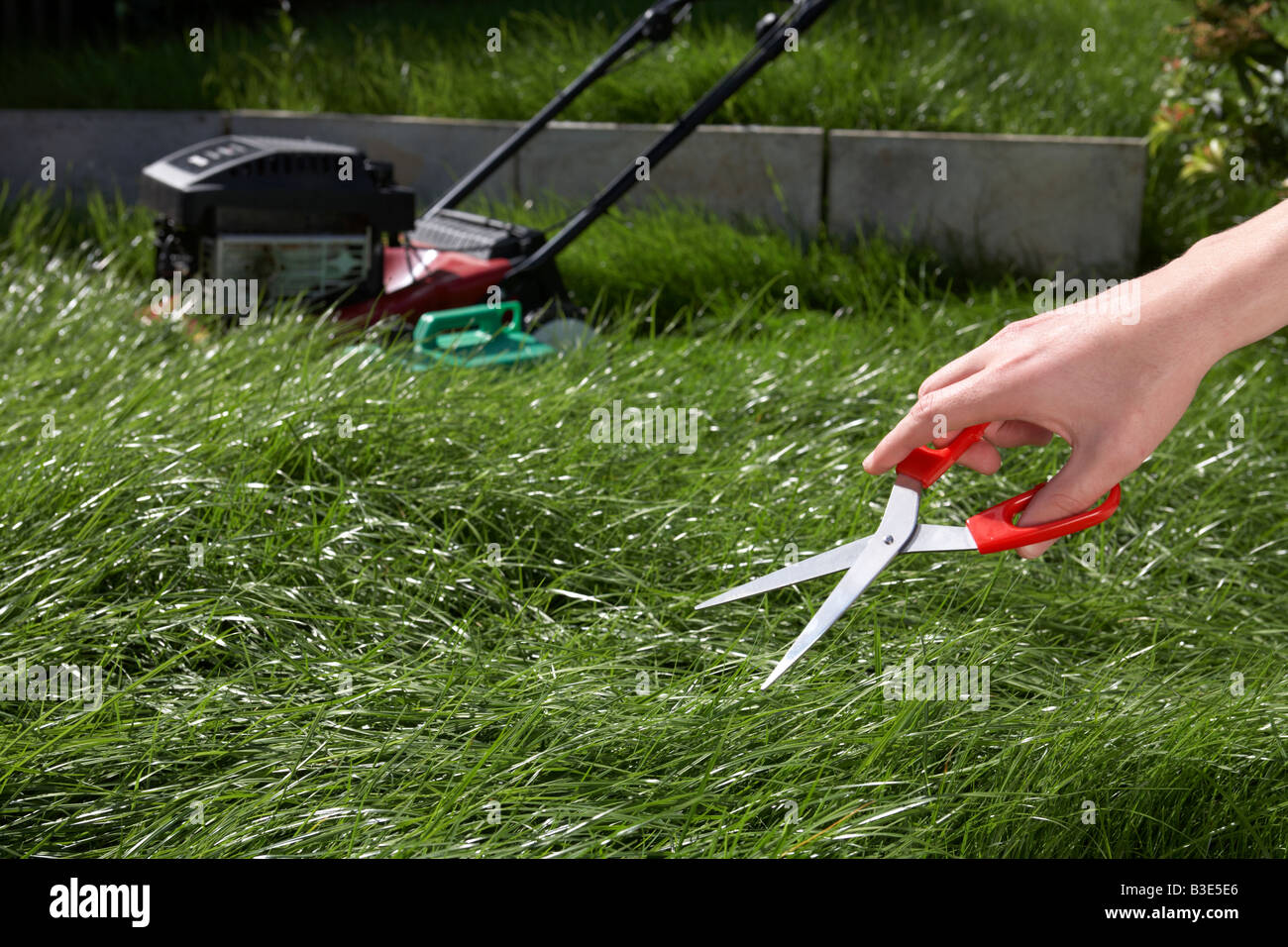 mans hand late teens early twenties cutting grass in a garden with a ...