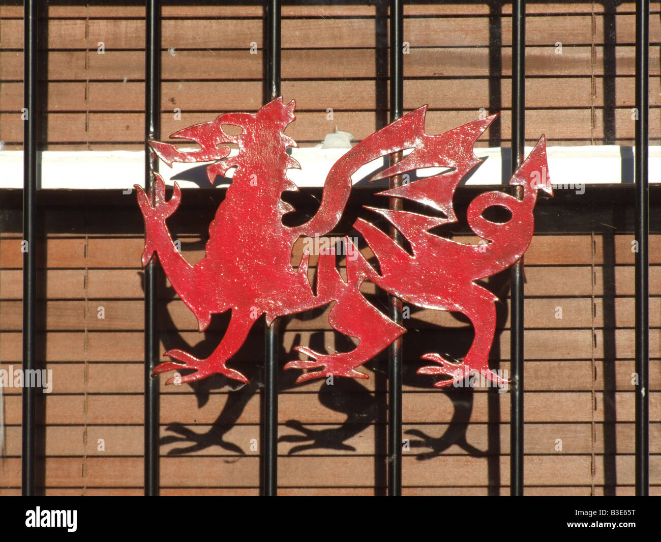 model welsh dragon on window in caernarfon, wales Stock Photo - Alamy