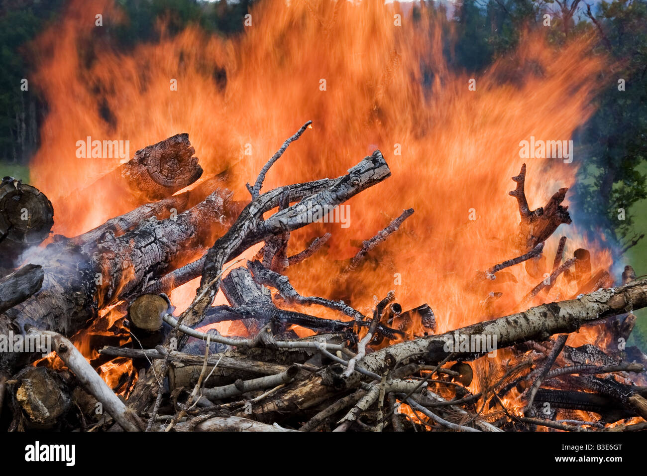 Burning A Brush Pile