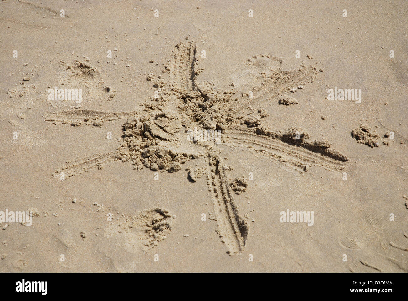 star-shaped scribbles in the sand Stock Photo - Alamy