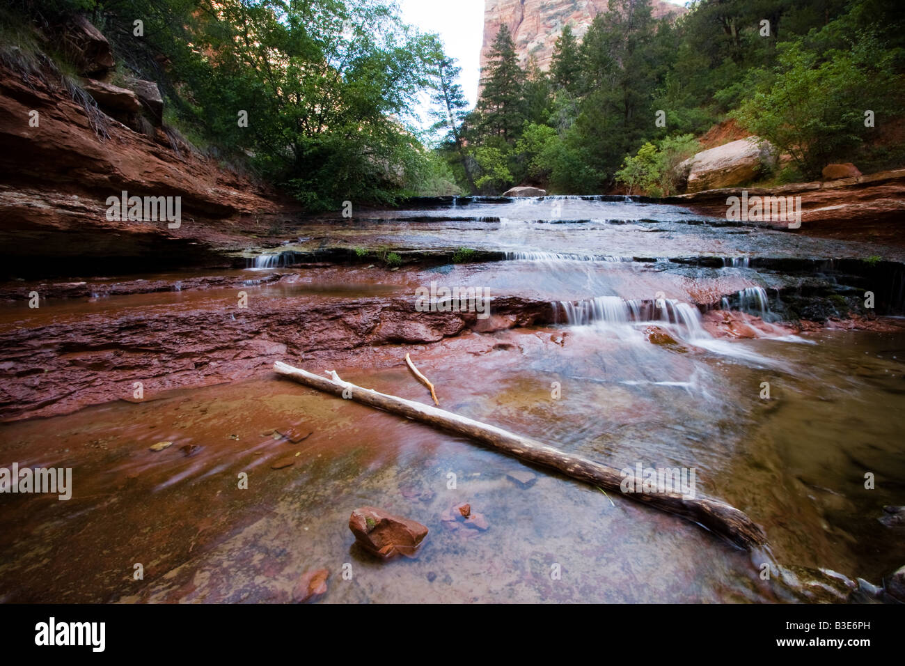 A Zion National Park landscape along the Virgin River Stock Photo - Alamy
