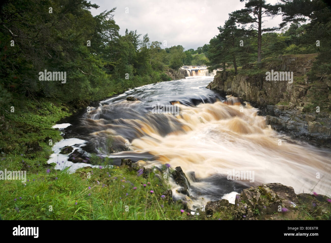 Low Force on the River Tees Stock Photo - Alamy