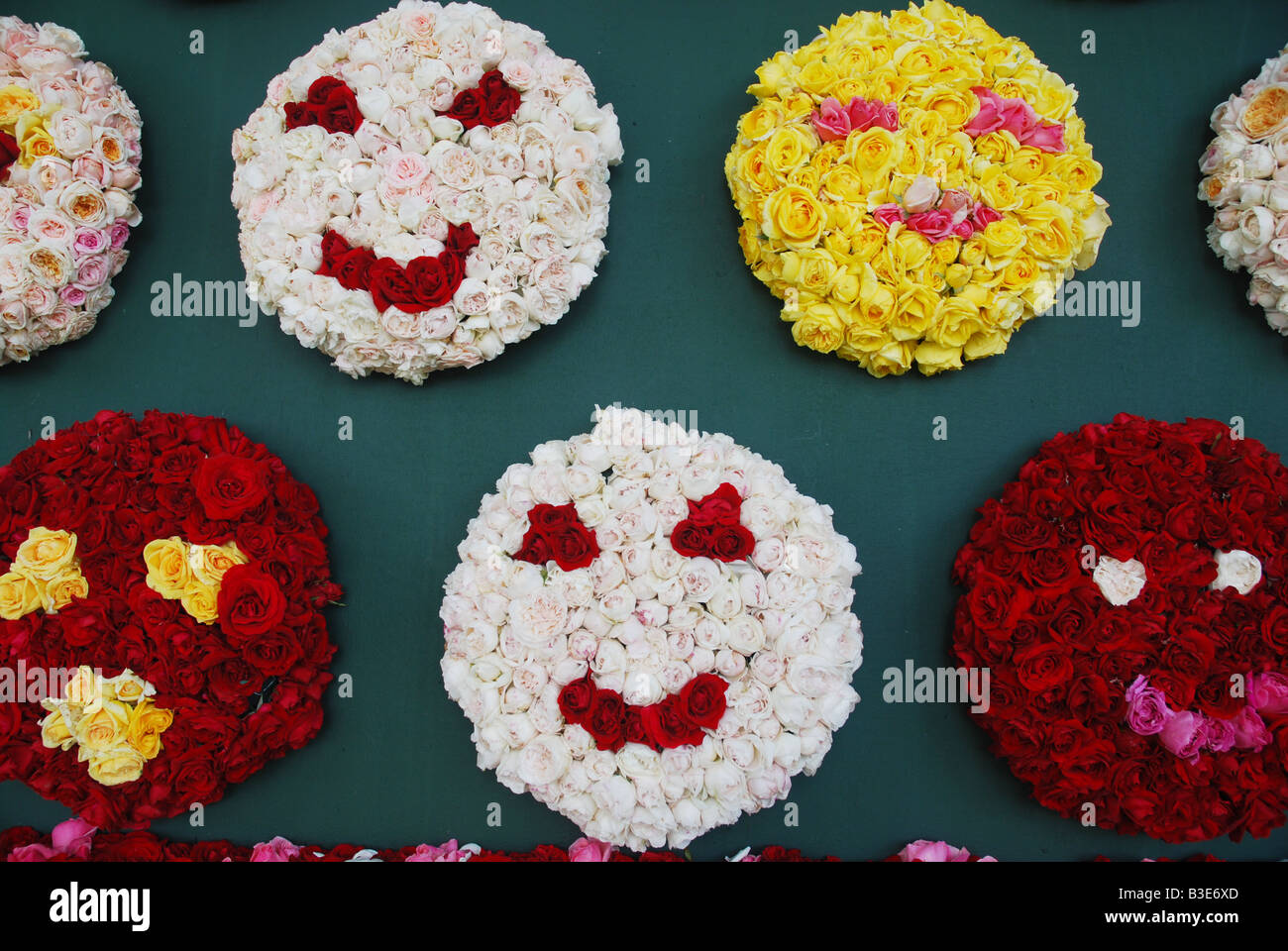 Emoticon flower hi-res stock photography and images - Alamy