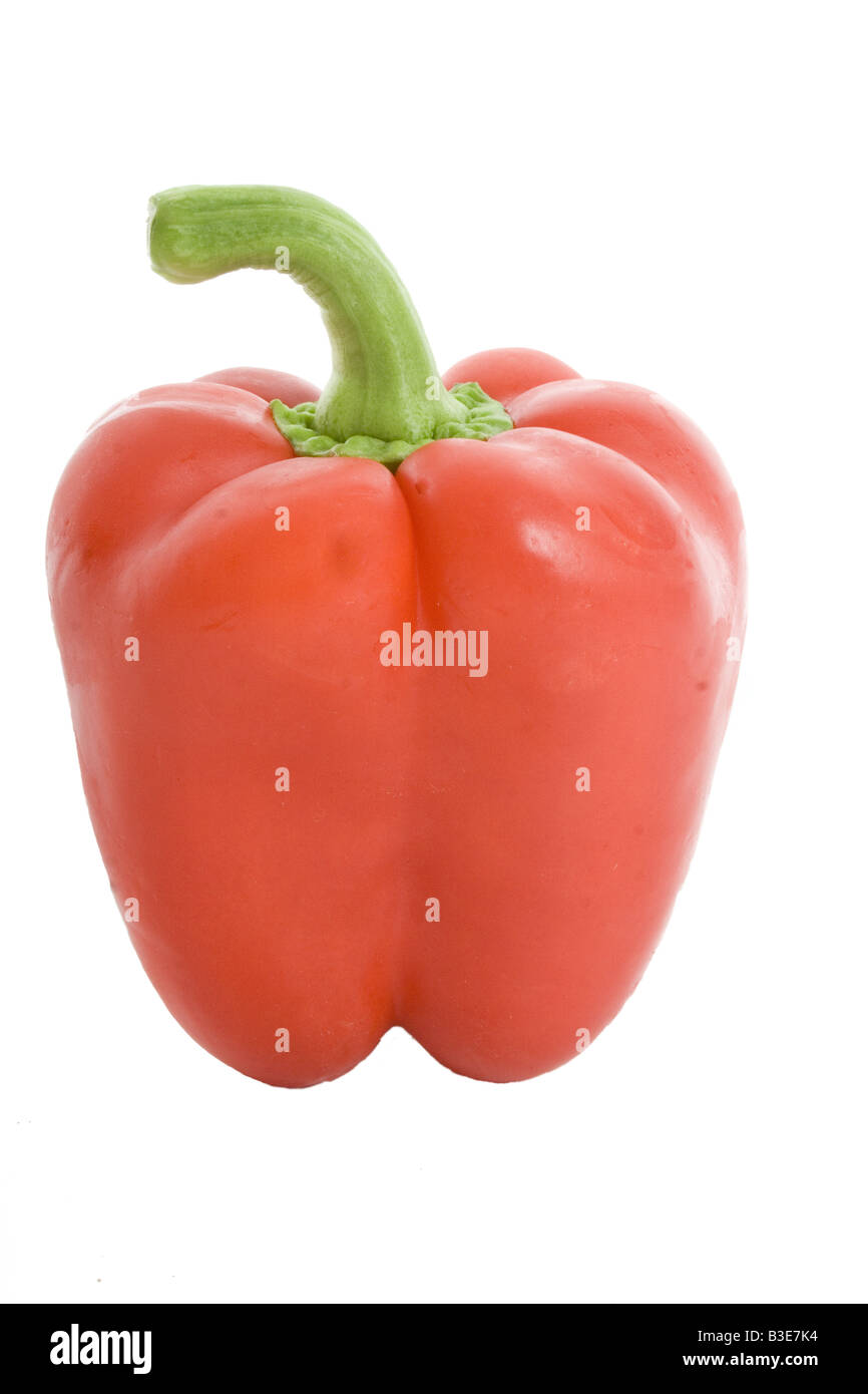A bright red pepper isolated on a white background Stock Photo - Alamy