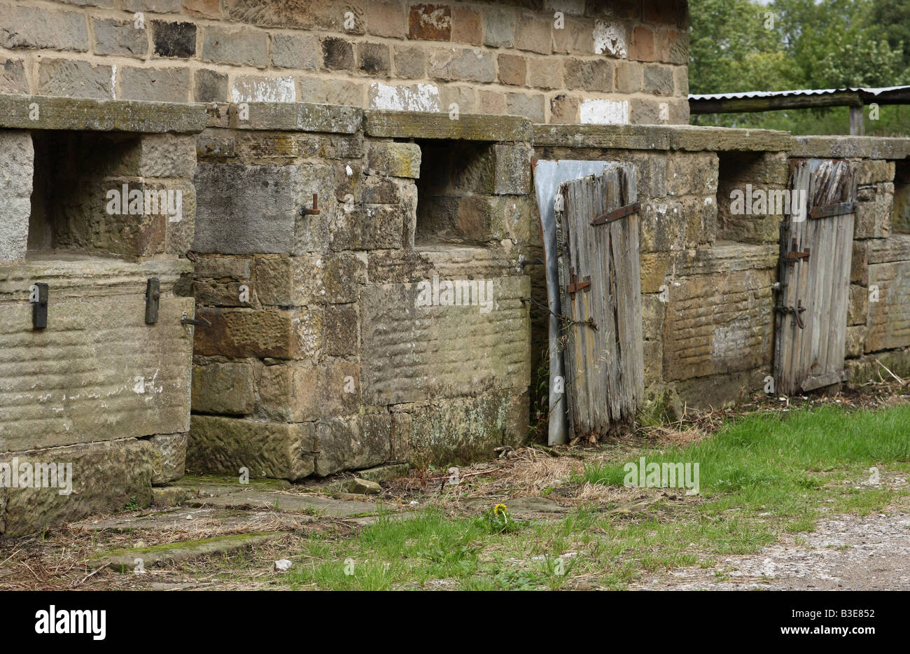 Abandoned pig sty on a farm in Derbyshire, England, U.K Stock Photo - Alamy