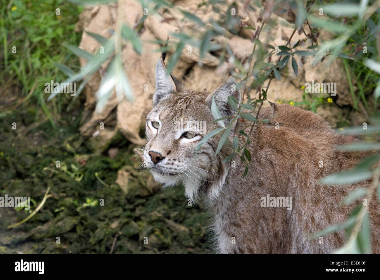 Captured variable image hi-res stock photography and images - Alamy