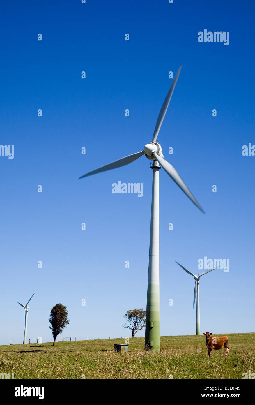 Wind turbines - Ravenshoe, Queensland, AUSTRALIA Stock Photo - Alamy