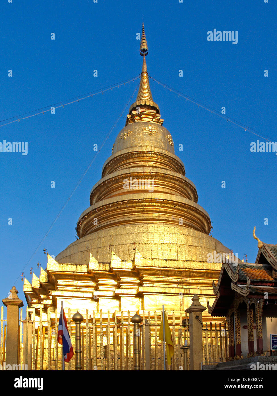 Lampoon hi-res stock photography and images - Alamy