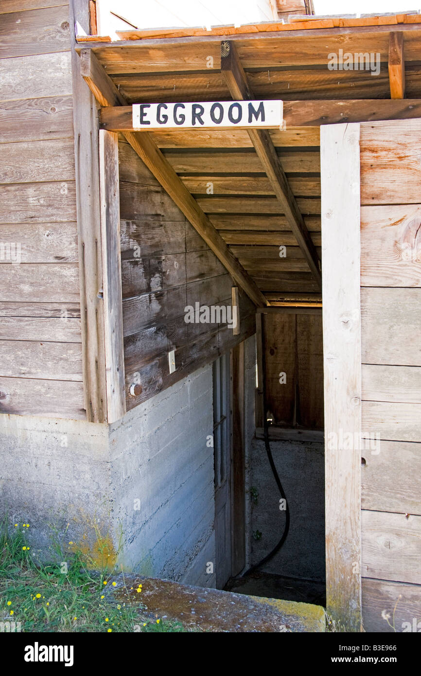 Chicken coup egg hi-res stock photography and images - Alamy