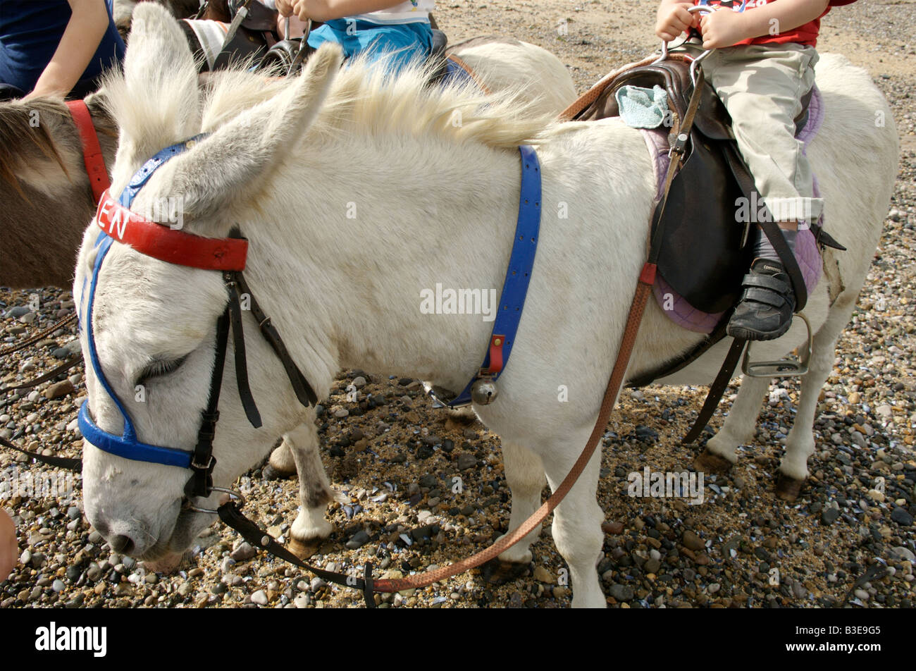 Donkey rides on a beach hi-res stock photography and images - Alamy